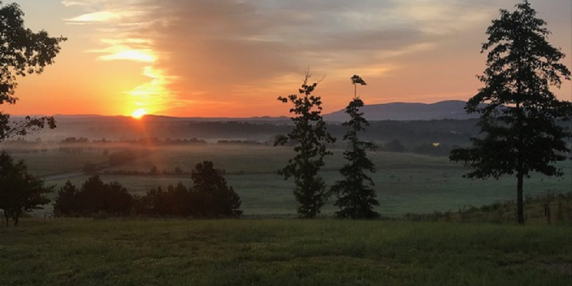 Cattle Farm | Our Land & Legacy | Rollins Ranches