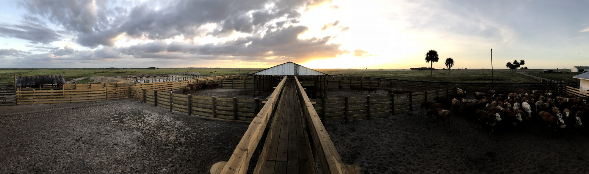 Our Locations | Premier Cattle Ranch | Rollins Ranches